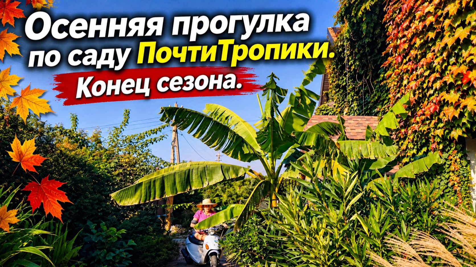 Наши тропики
