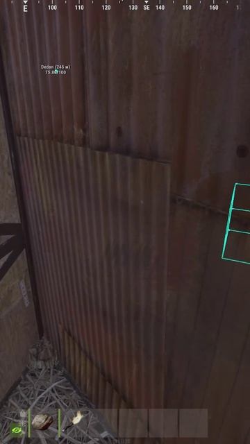 Шортсы Rust/Раст