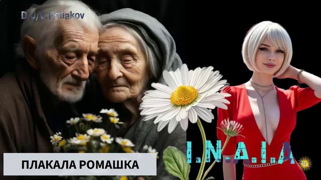 I.N.A.I.A  VIII