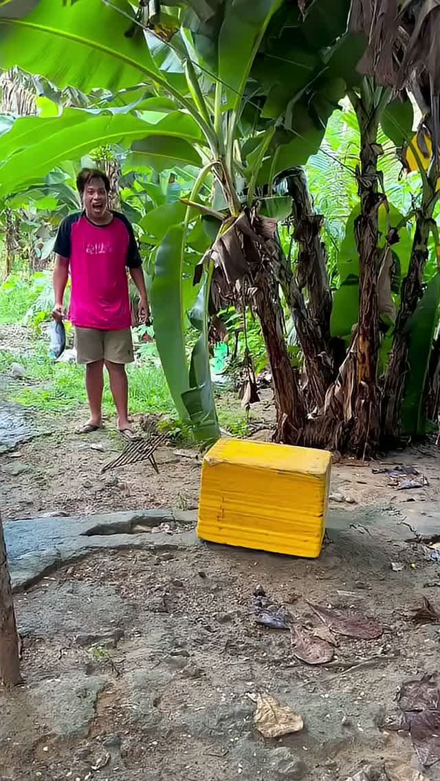 Смешные видео