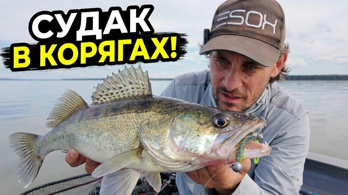 Ловля судака