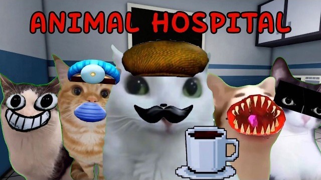 Дим Дим дам