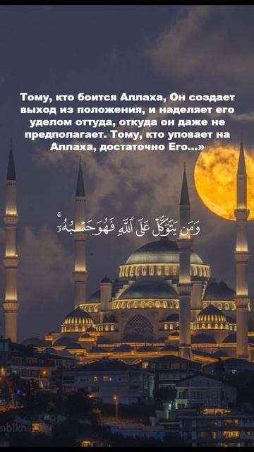 короткие видеоролики