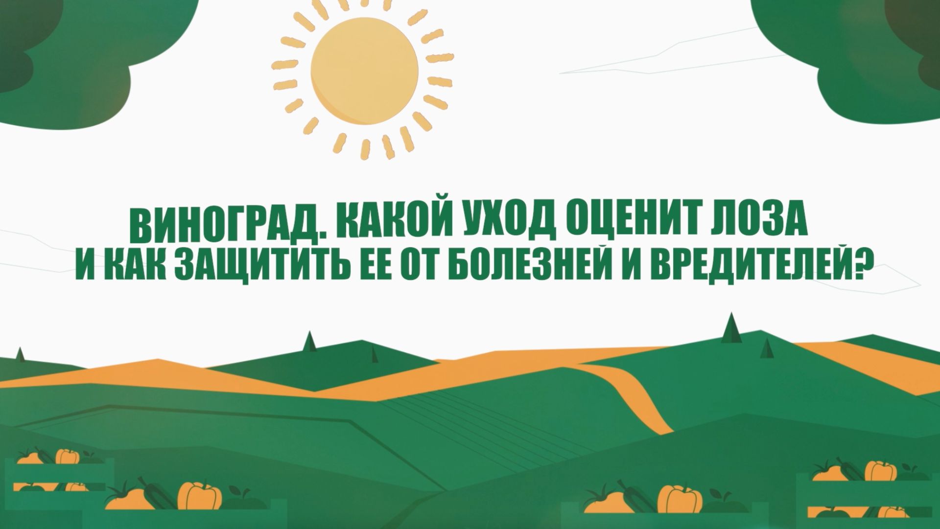 Агроэксперт помогает