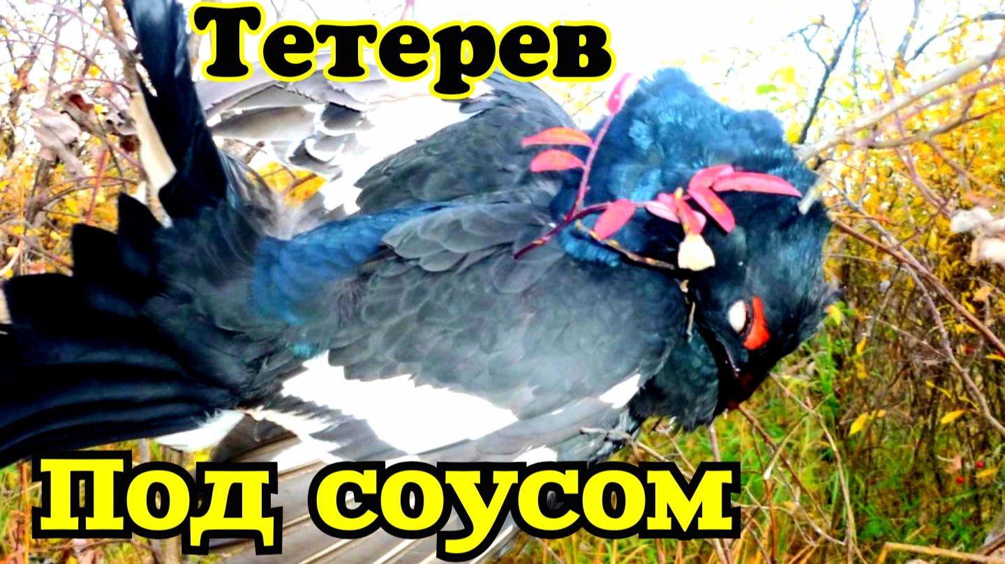 Рецепты автора! Что добыл, то и приготовил!