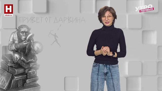 Привет от Дарвина