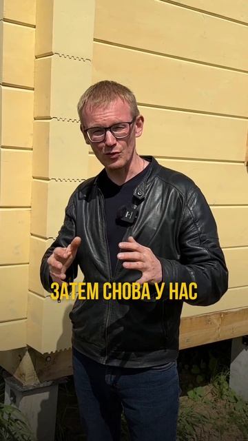 Торцы древесины