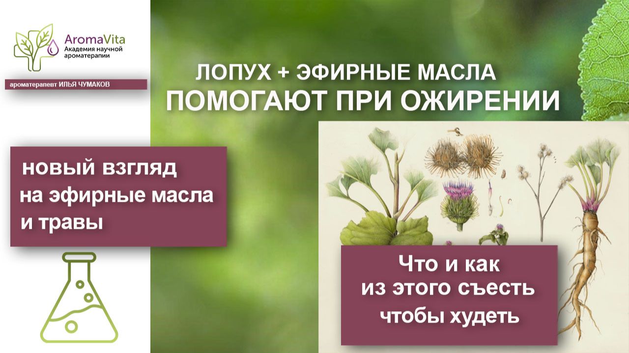 Эфирные масла и их свойства