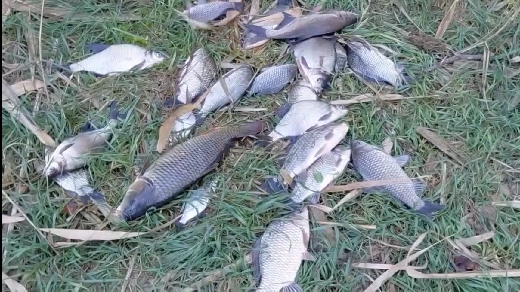 Отдых