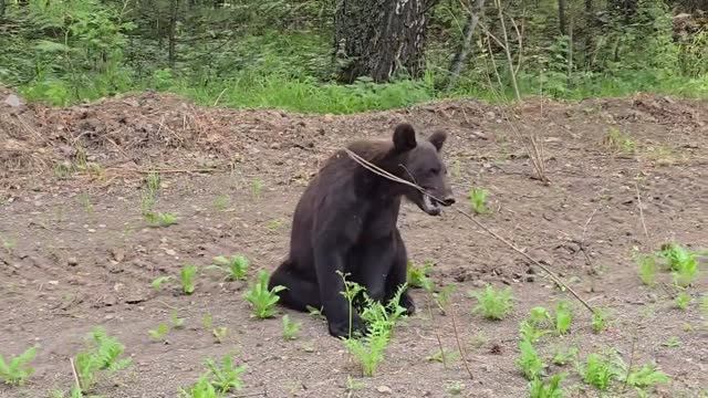 Законодательная власть