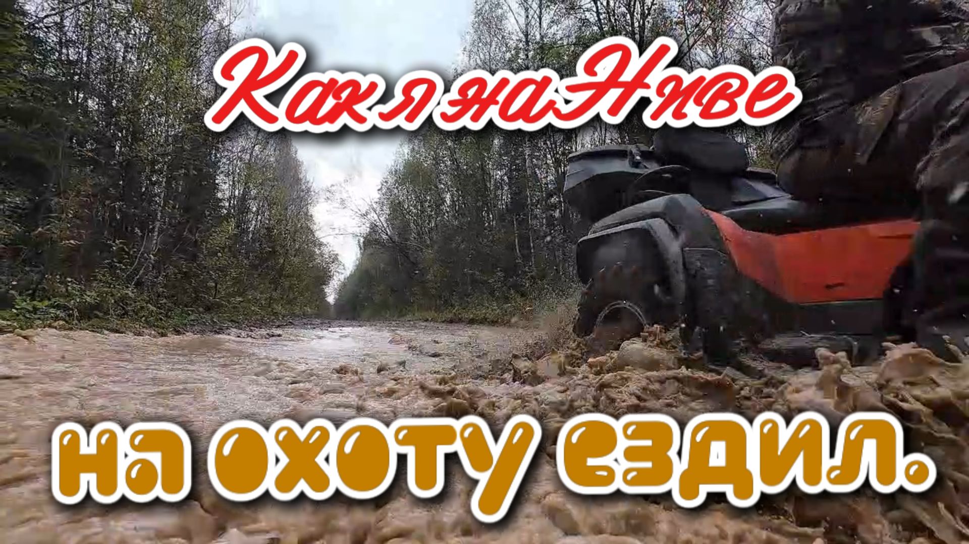 Природа. Дикие животные, красивые места.