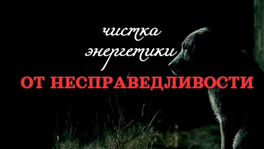 ЧИСТКИ