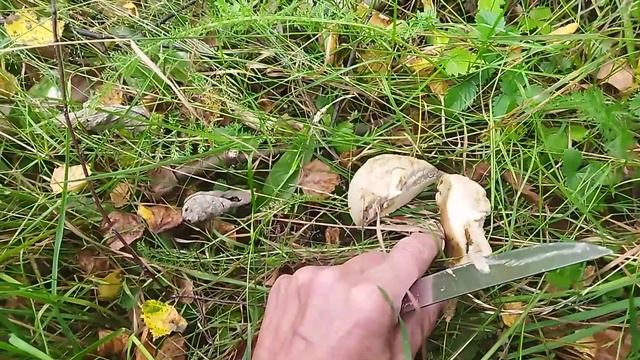 Разное