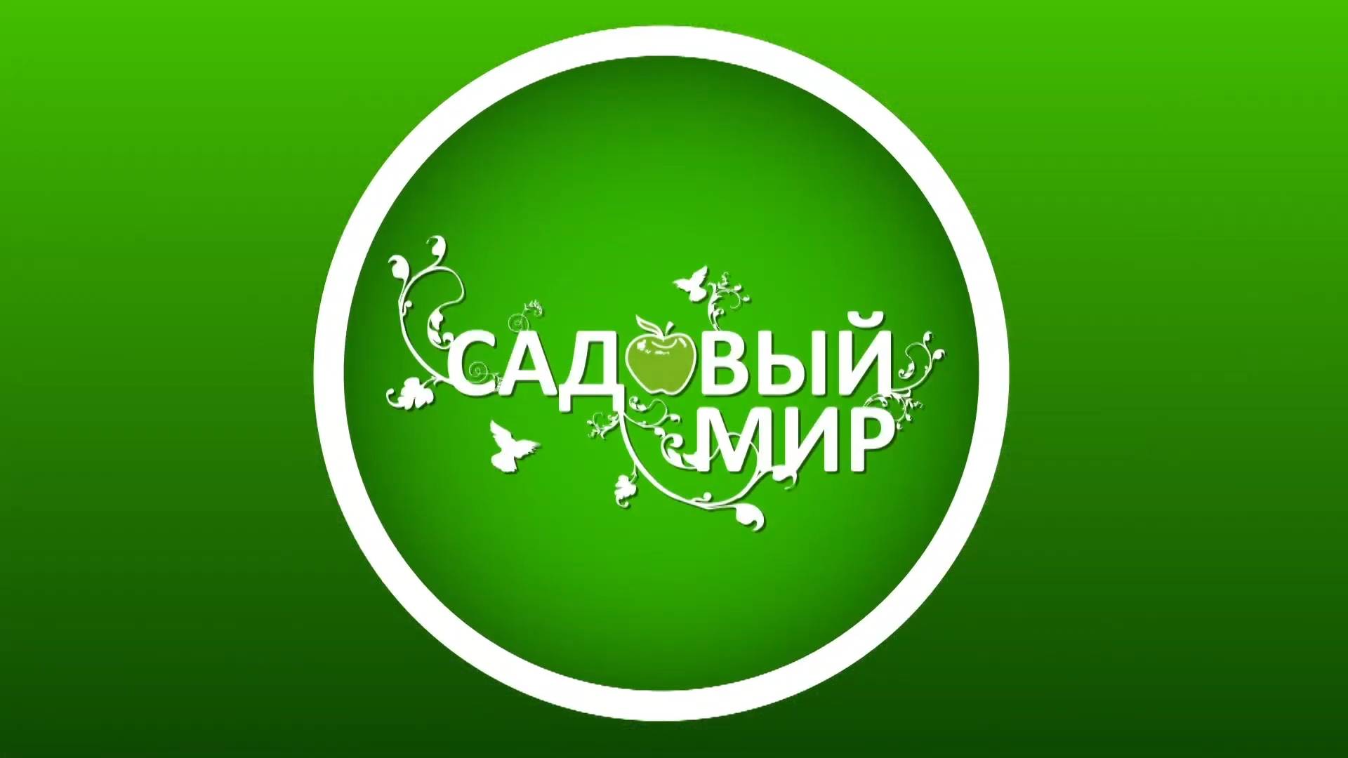 ЯГОДЫ