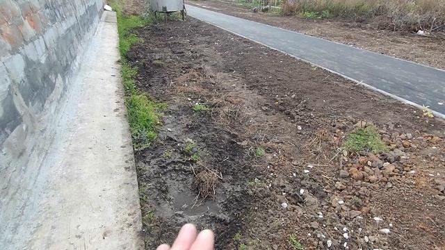 Зарайск. Работа муниципальных органов.