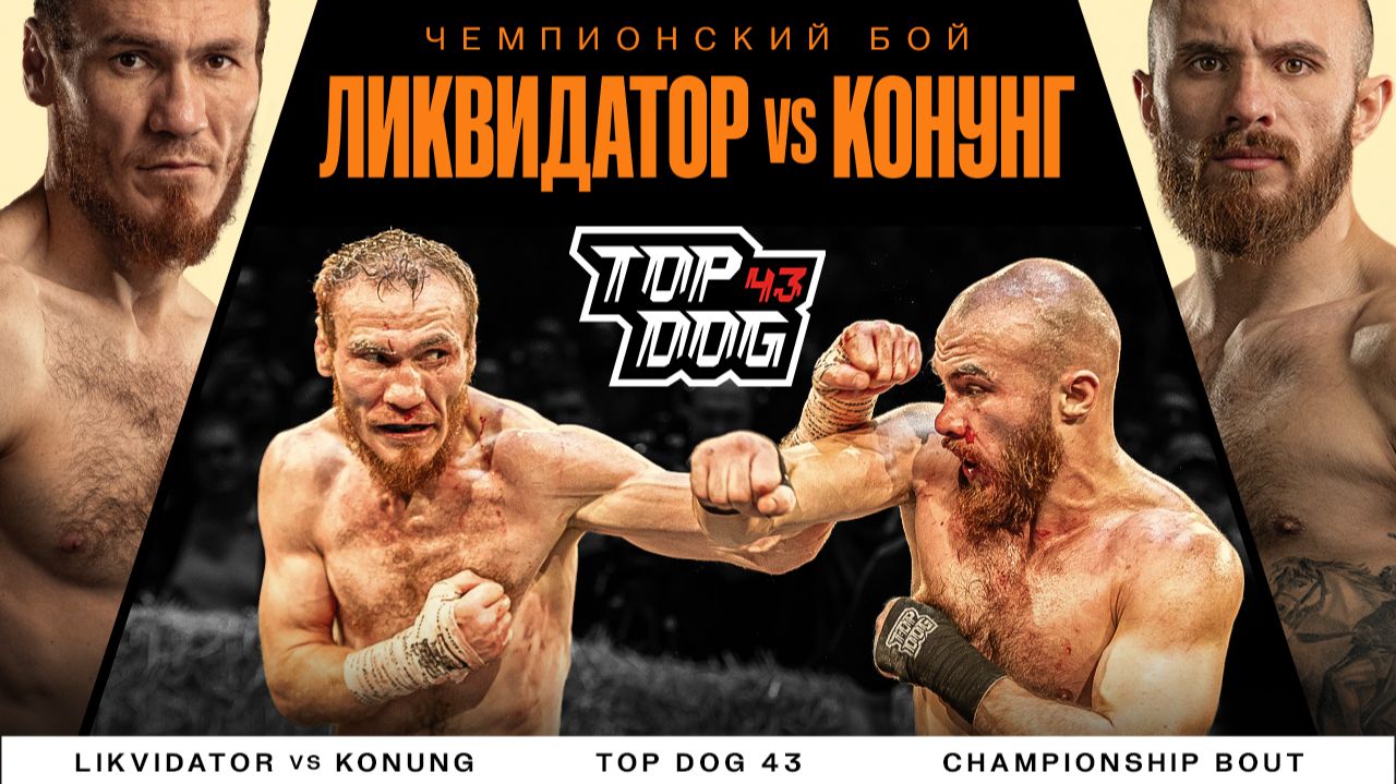 TOP DOG 43