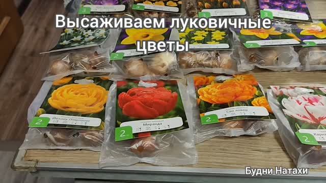 Мои будни.  Обо всем понемногу!