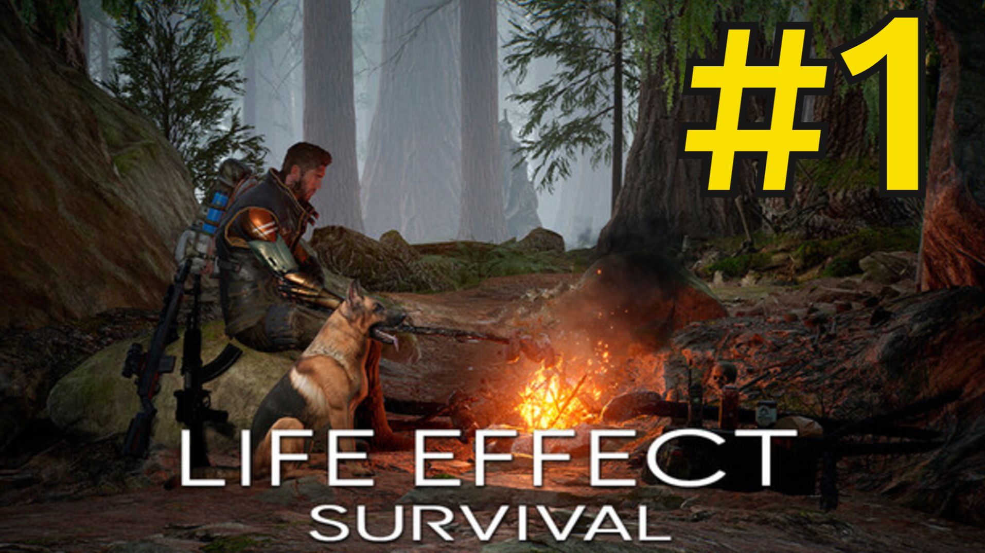 LIFE EFFECT Survival Прохождение