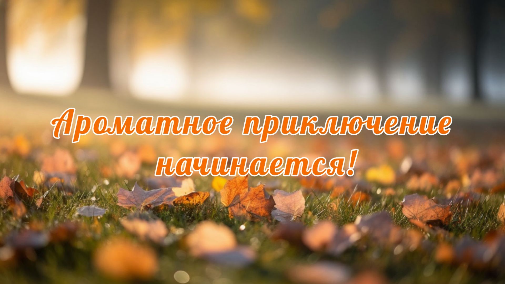 Парфюмерный обзор