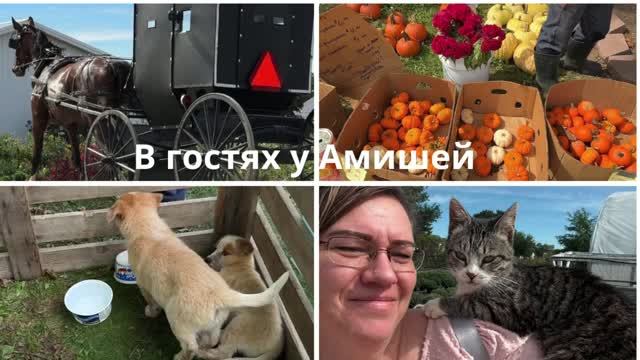 Разное о США