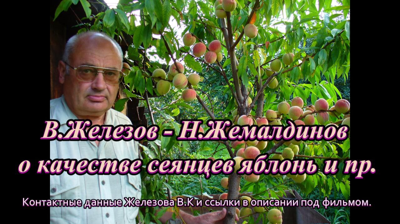 Разное