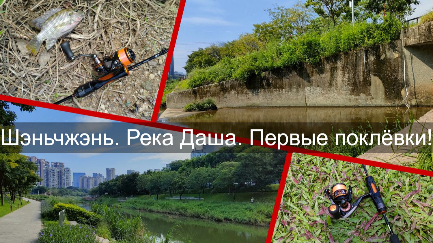 Видео с рыбалки