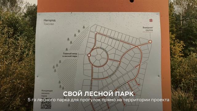 КП Негород Токсово