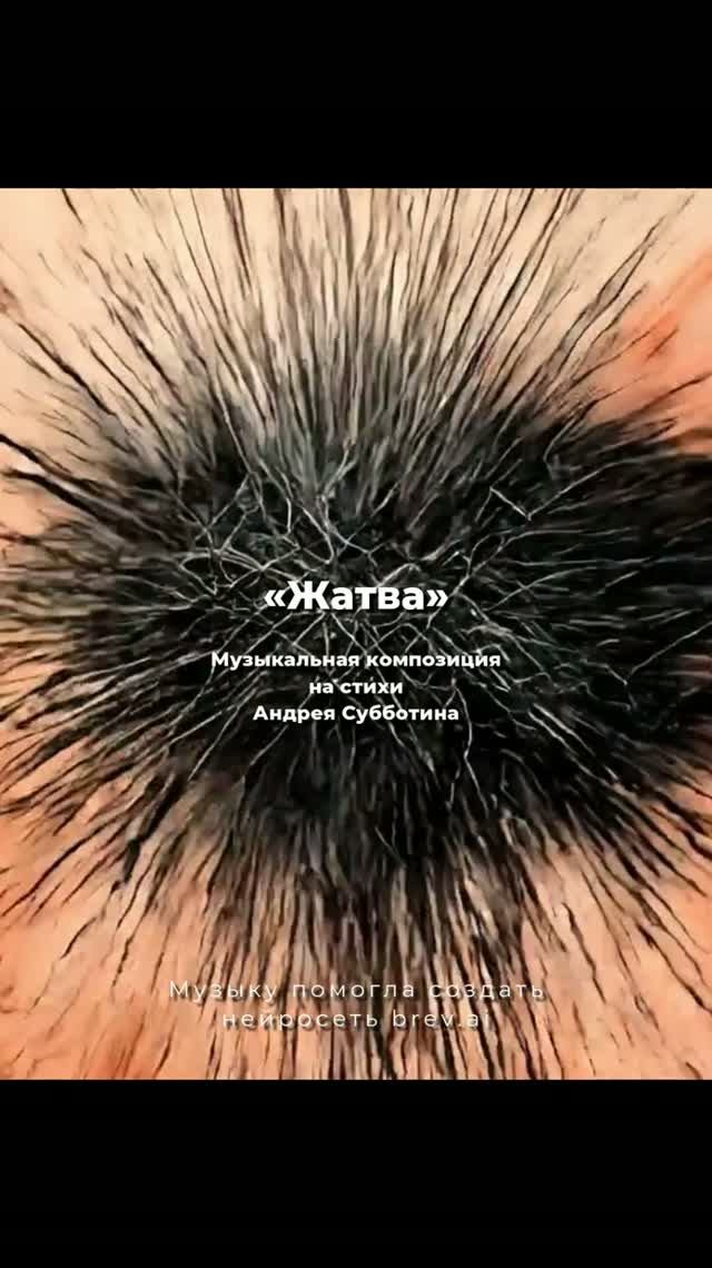 Музыка