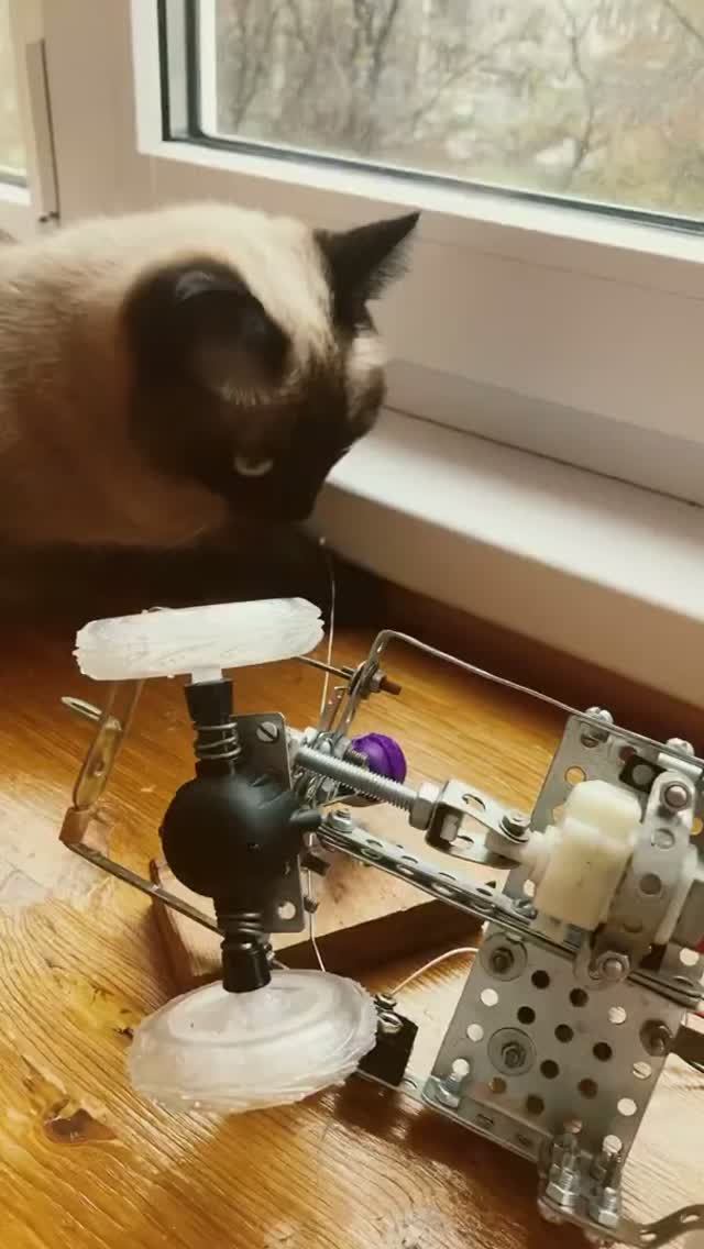 Игрушки