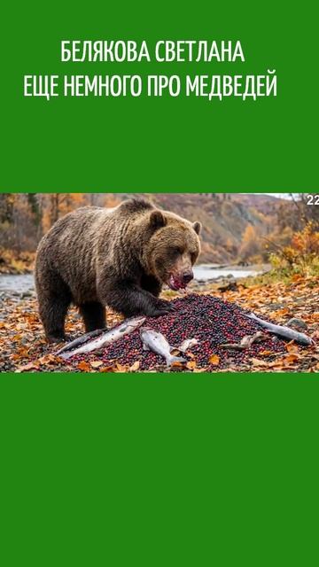 МУДРОСТЬ, ПСИХОЛОГИЯ, ИНТЕРЕСНЫЕ ИСТОРИИ, СПОРТ И Т.Д.