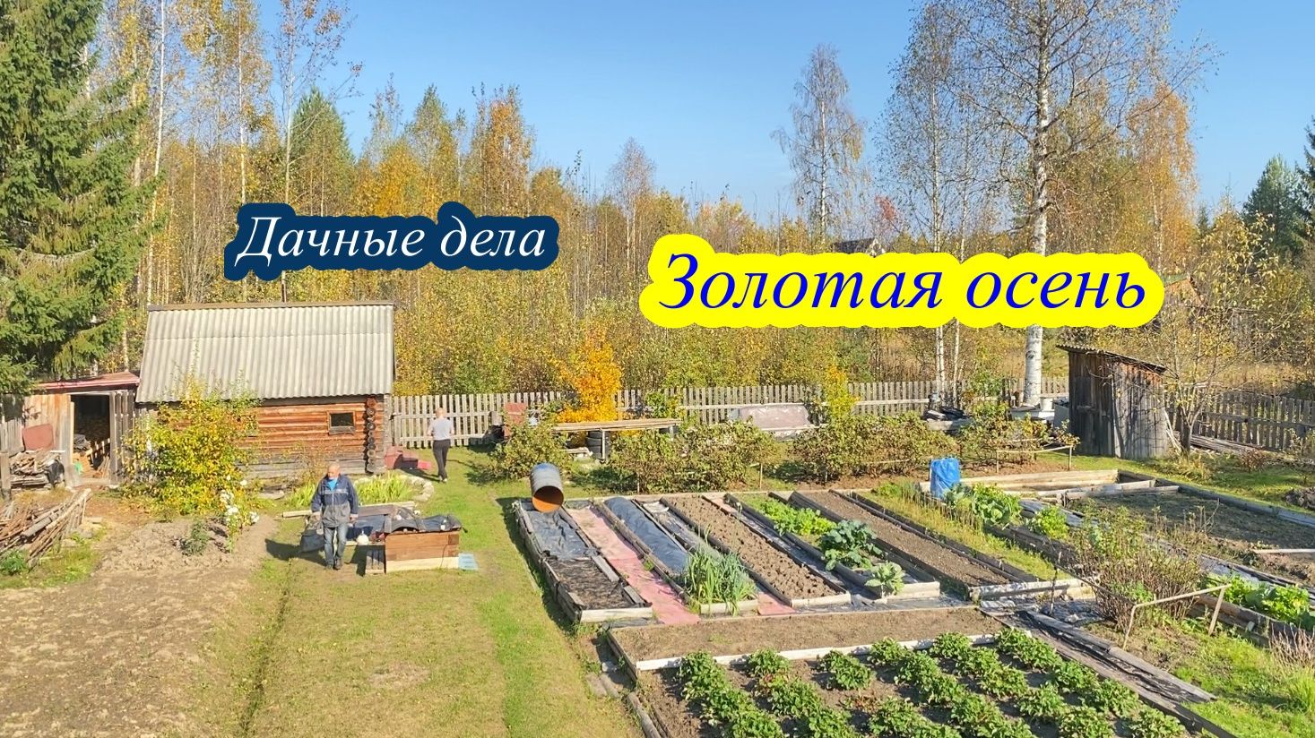 Лайфстаил