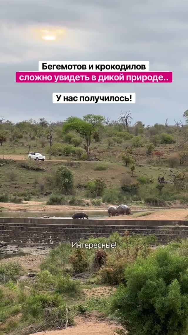 ЮАР