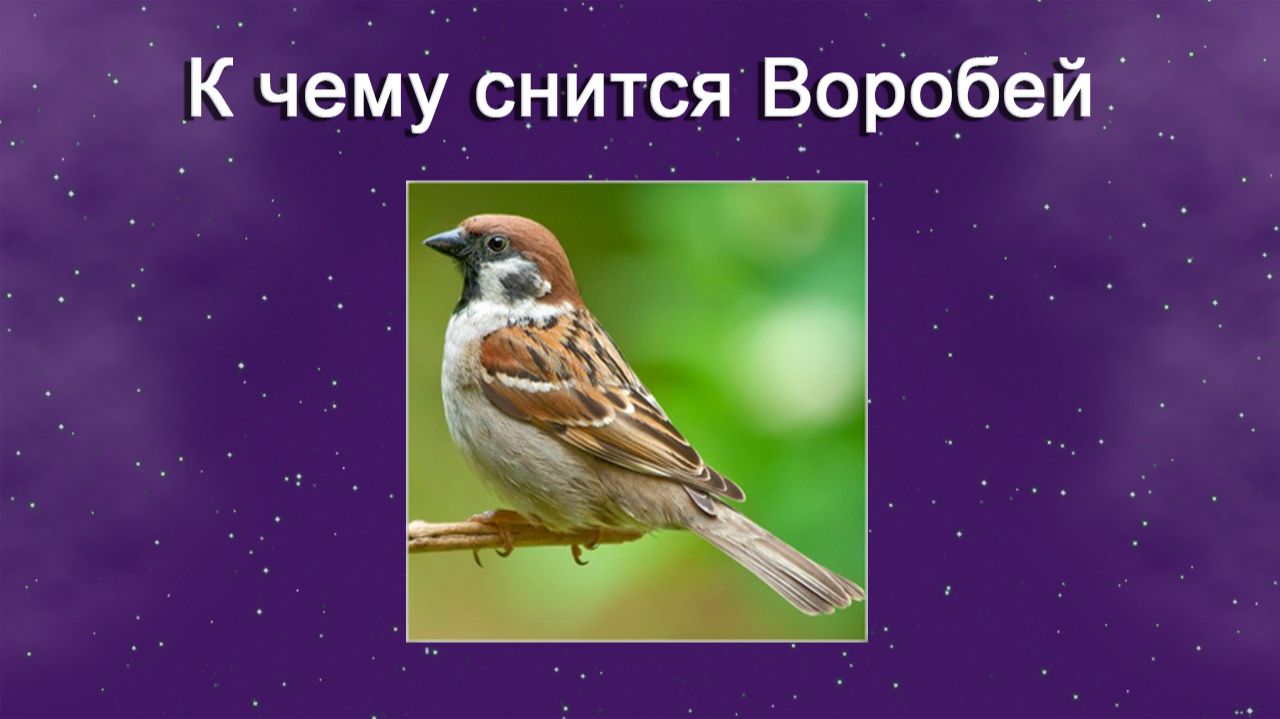 Толкование снов на букву В