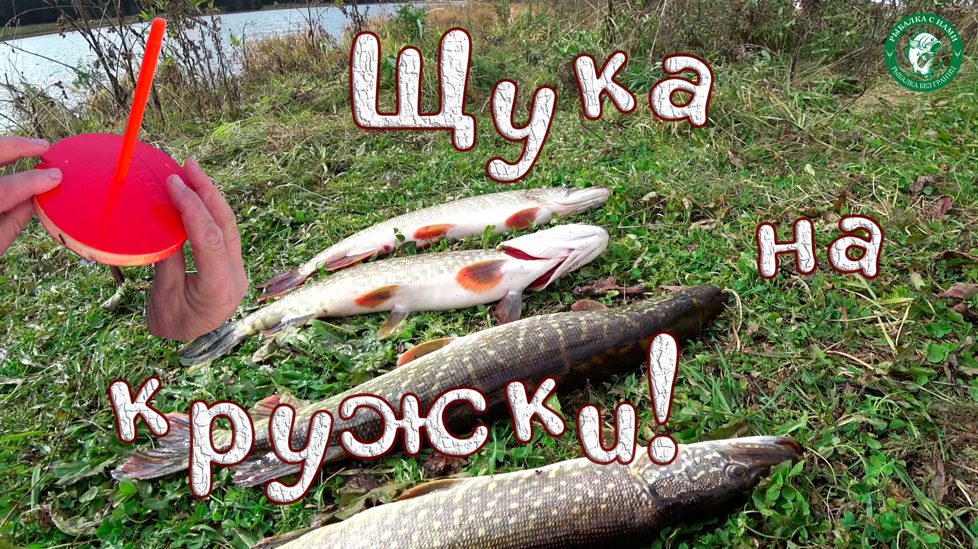 РЫБАЛКА В ОКТЯБРЕ С ЛОДКИ И БЕРЕГА, НА СПИННИНГ И РЕЗИНКИ, НА ДОНКИ И ПОПЛАВОЧКУ, РЕКИ И ОЗЕРА!