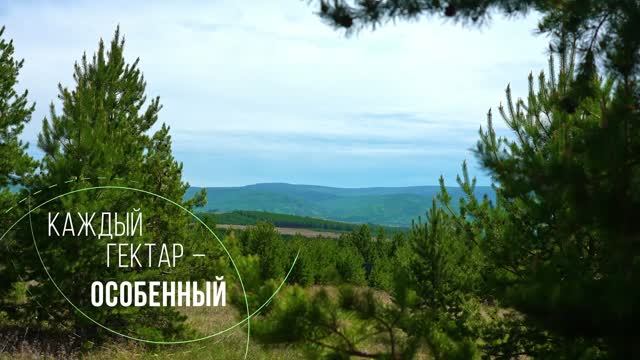 Республика Бурятия - инвестиции и развитие предпринимательства