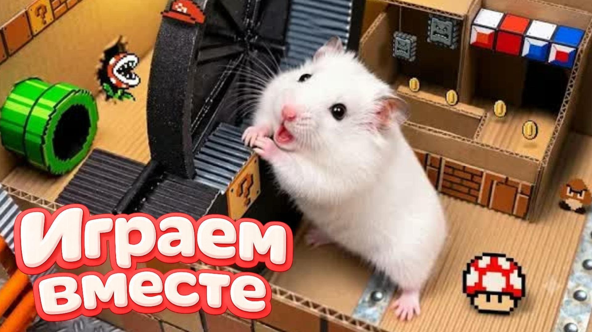 Играем с Животными ! СУПЕР ЛАБИРИНТЫ для Умного Хомяка 🐹