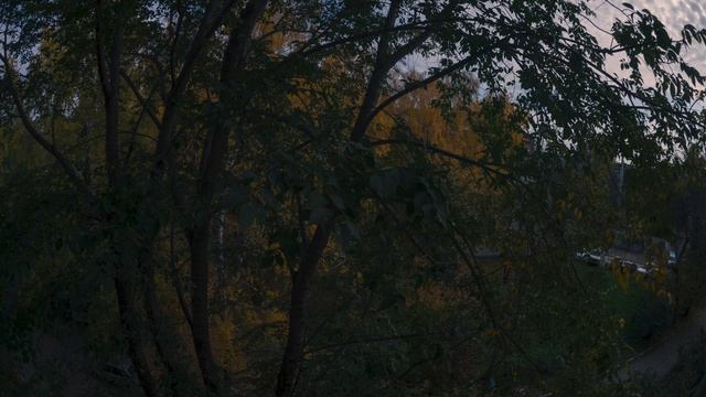 Объективы с резьбой М42