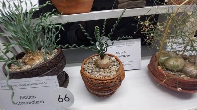 Разное