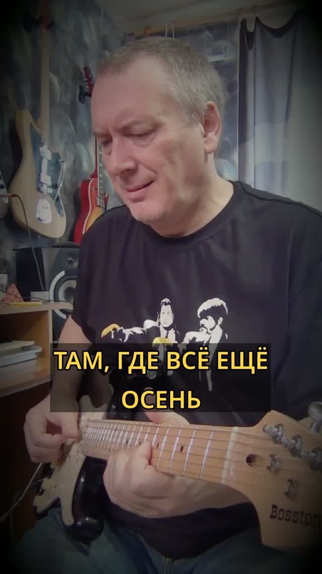 Шорты