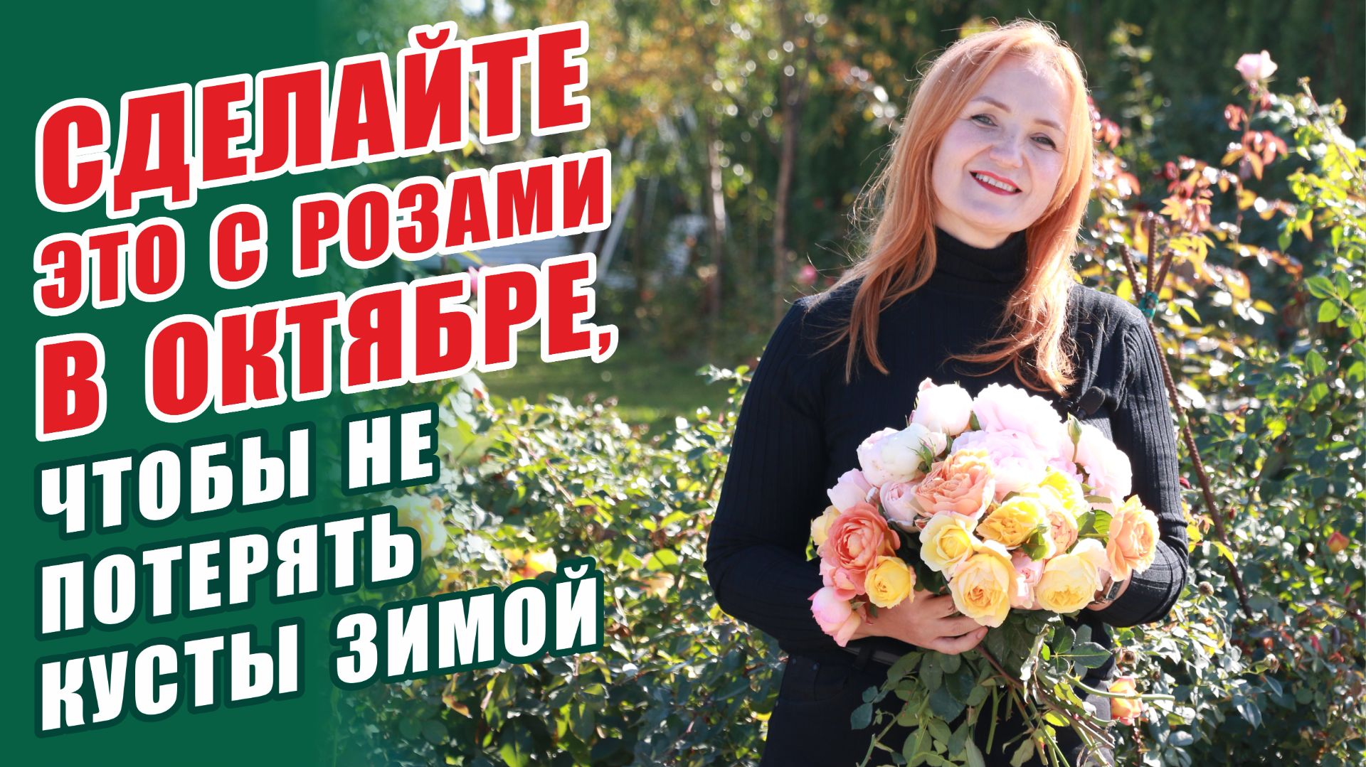 УХОД ЗА РОЗАМИ