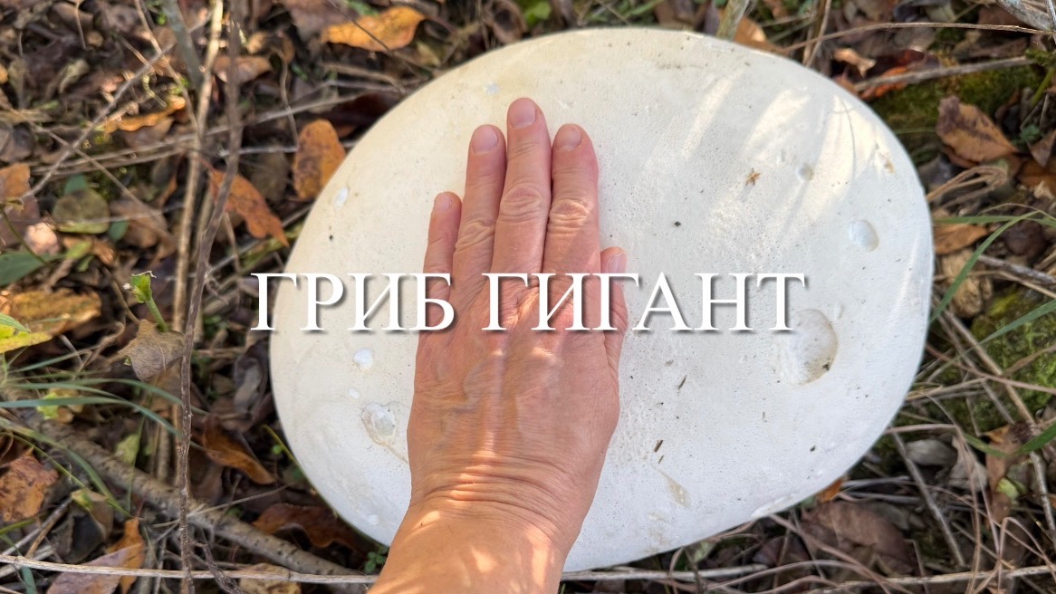 Природа штата Висконсин, США