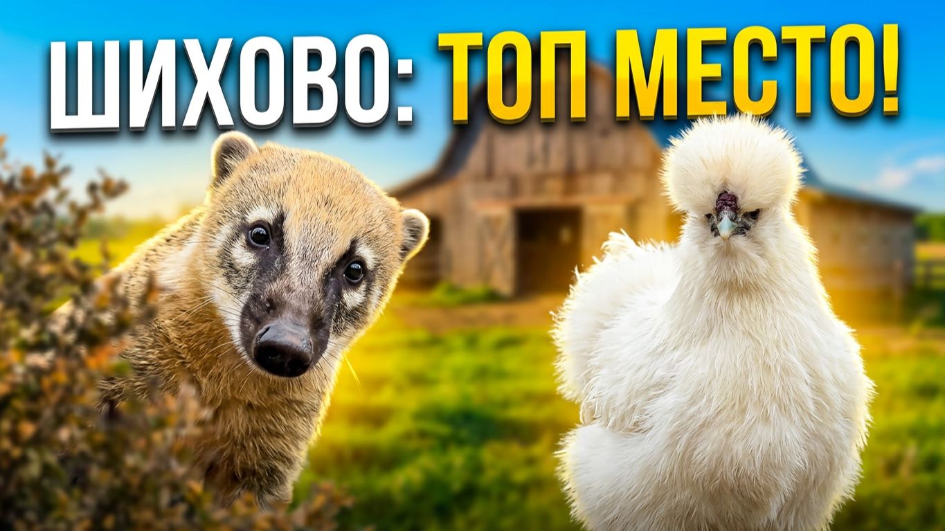 Новое