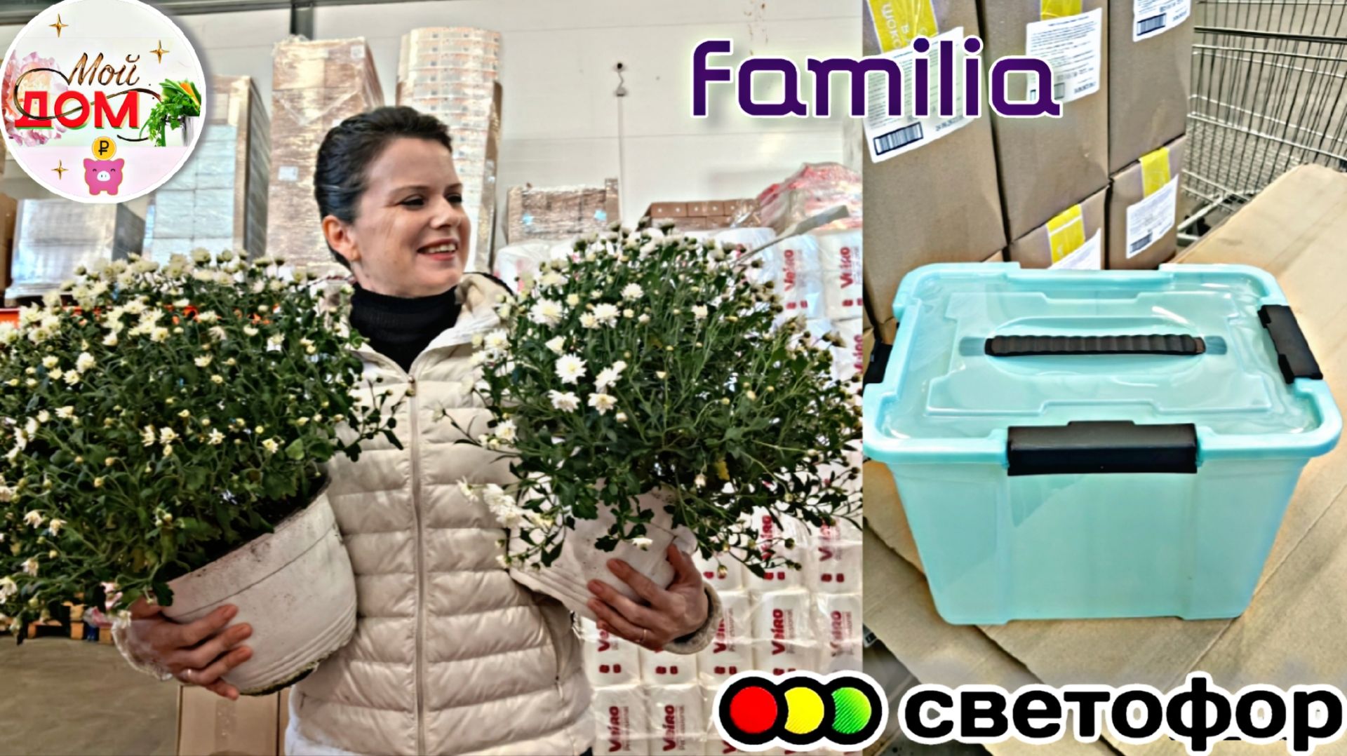 Светофор🚦