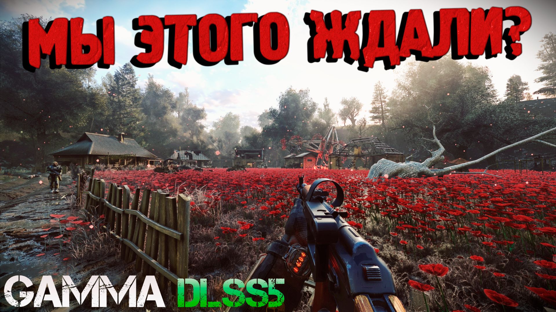Обзоры и гайды Stalker