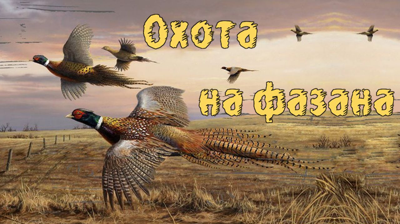 Сезон охоты 2026-2027