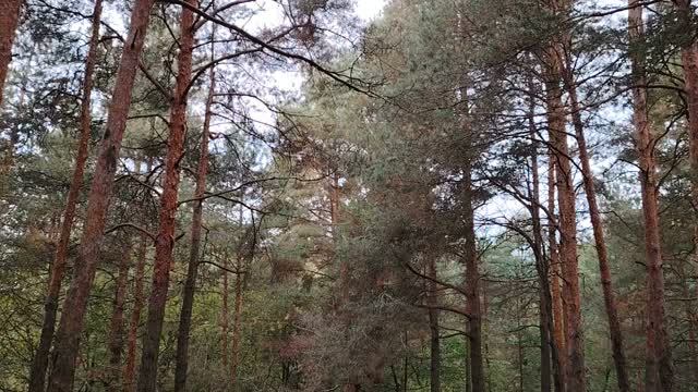 Немного про работу по найму в организации