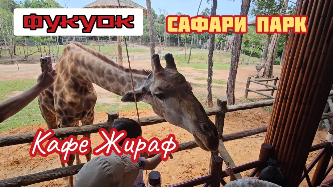 Отпуск во Вьетнаме