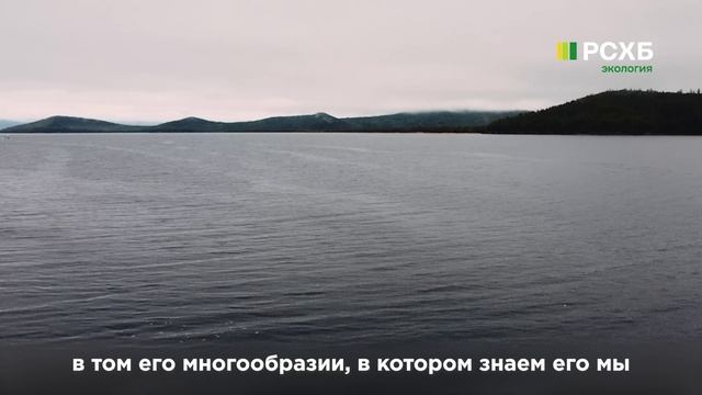 Выпусти мальков