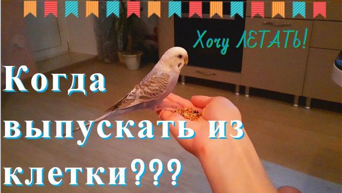 Видео помощь, советы