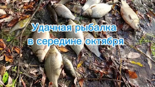 Рыбалка